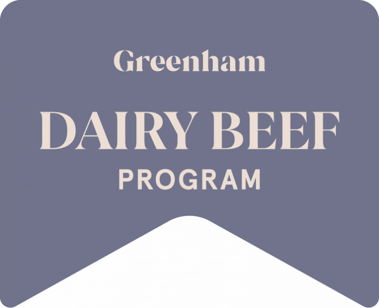 Our Dairy Beef Program - Greenham