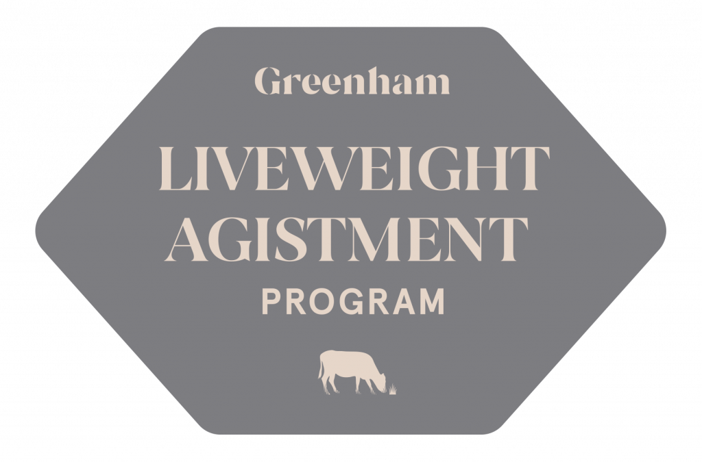 Our Liveweight Agistment Program - Greenham